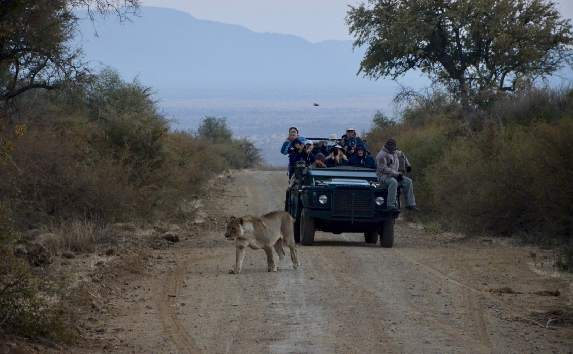 Impodimo Game Lodge – A luxurious adventure – Byond Traveling
